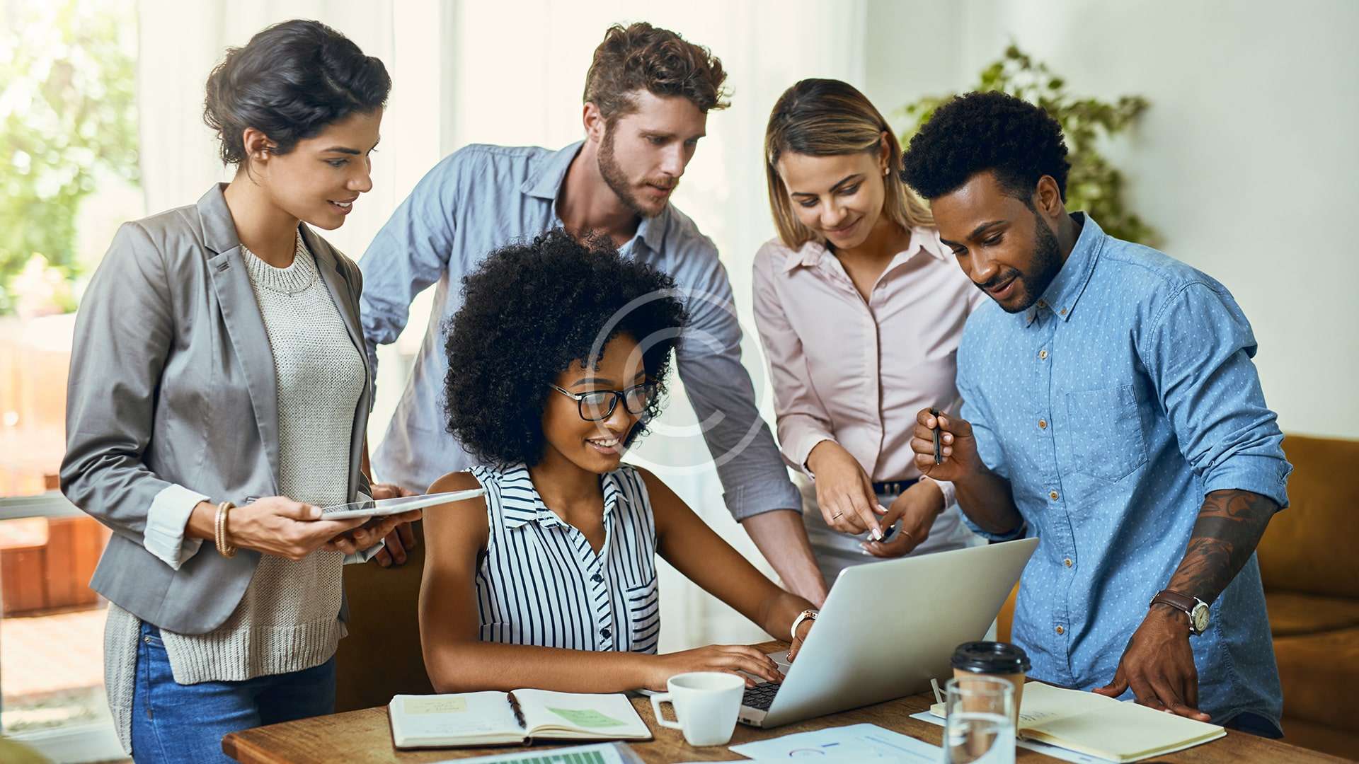 Learn Which Business Structure is Right for You – Global Allianz (Pvt) Ltd.
